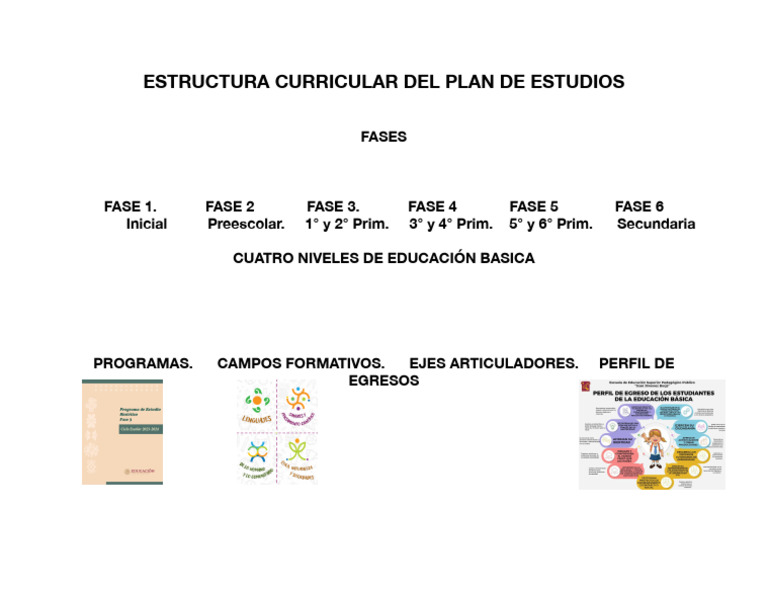 Estructura Curricular Del Plan de Estudios Prim. | PDF