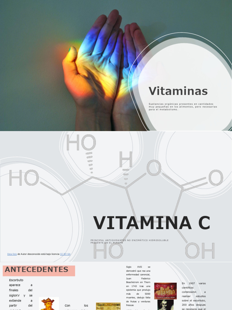 Beneficios y Fuentes de Vitamina C | PDF | Vitamina C | Fruta