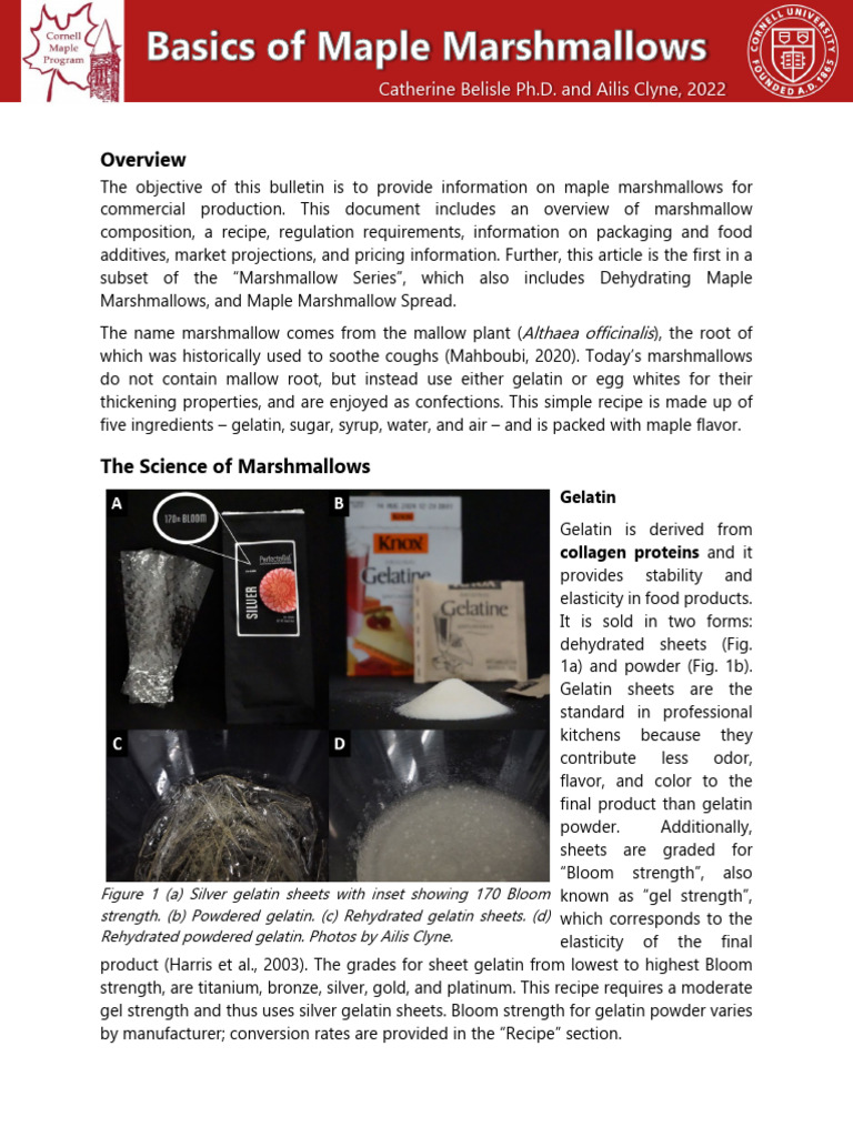 BasicsofMapleMarshmallow FactSheet | PDF | Marshmallow