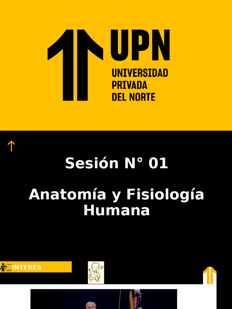 Clase Semana 1 - Anatomía y Fisiología | PDF | Ciencias sociales | Ciencia y matemática