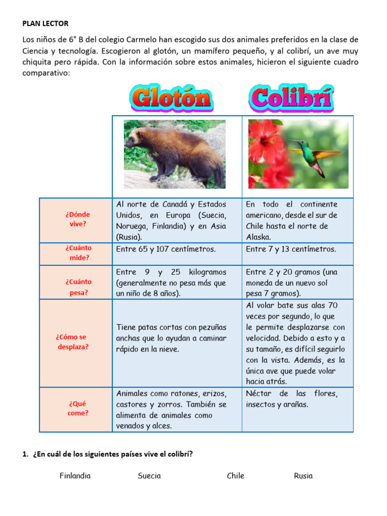 Plan Lector Gloton y Colibri | PDF