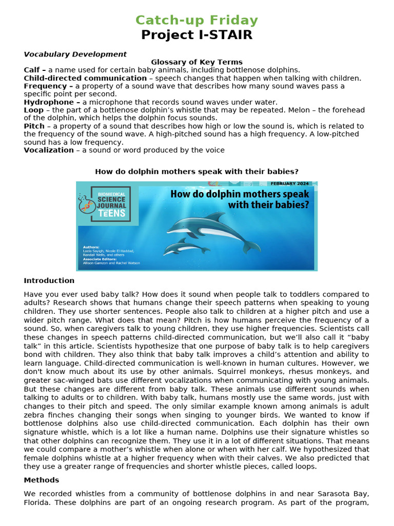 Catch | PDF