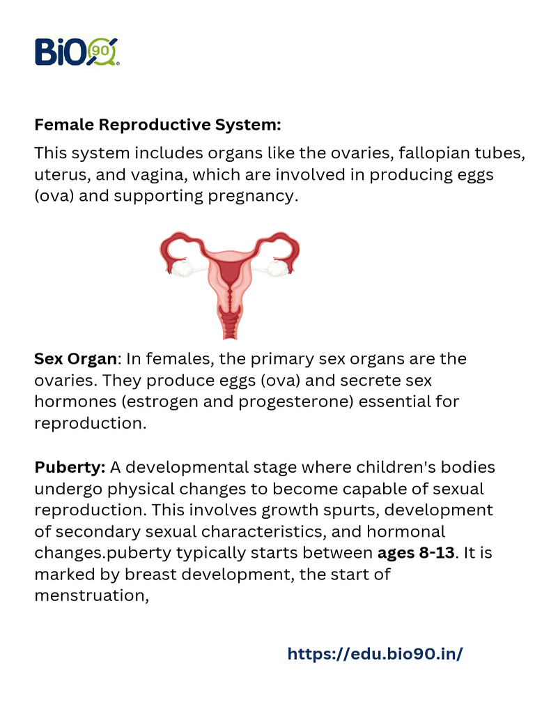 Female Reproductive System This System Includes Organs Like The Ovaries ...