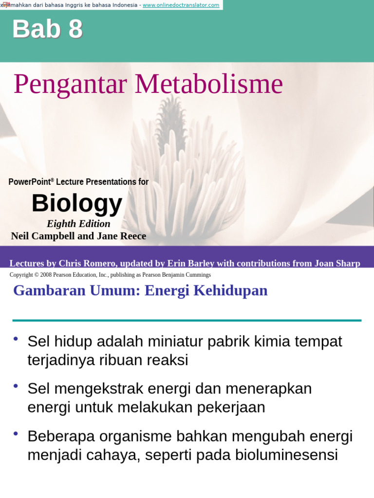 Chapter 08 An Introduction Into Metabolism | PDF