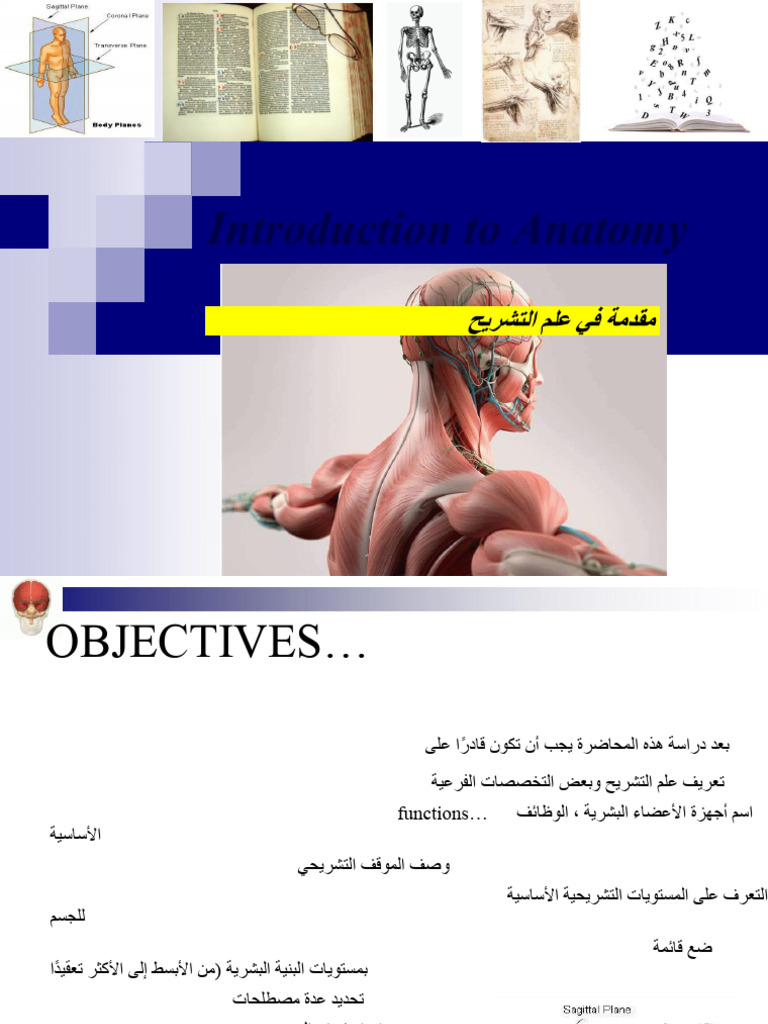 Introduction to Human Anatomy Basics | PDF | Anatomical Terms Of Motion ...