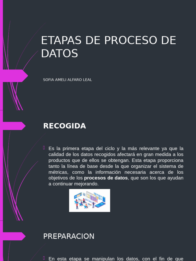 Etapas de Proceso de Datos | PDF