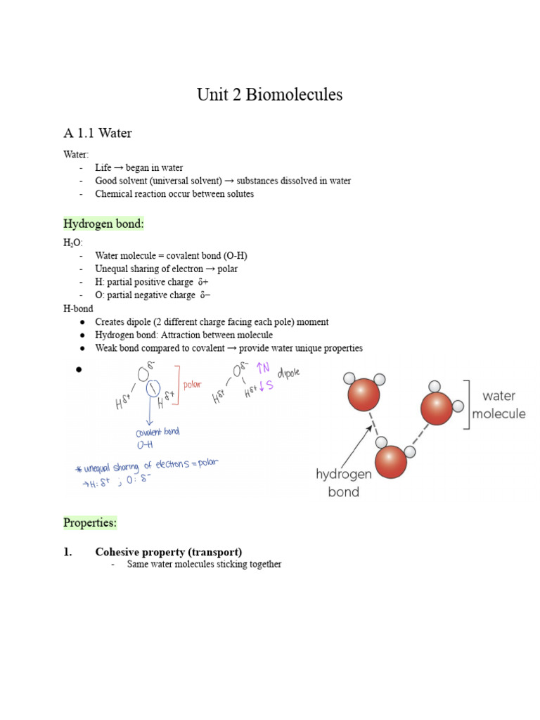 Biomolecules | PDF