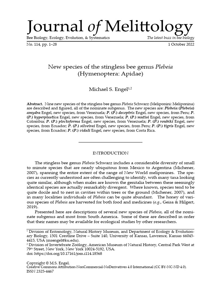 New Species of The Stingless Bee Genus Plebeia Hym | PDF