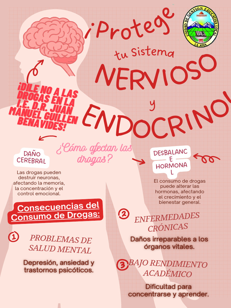 The Digestive System Educational Poster in a Red Pink Flat Graphic ...