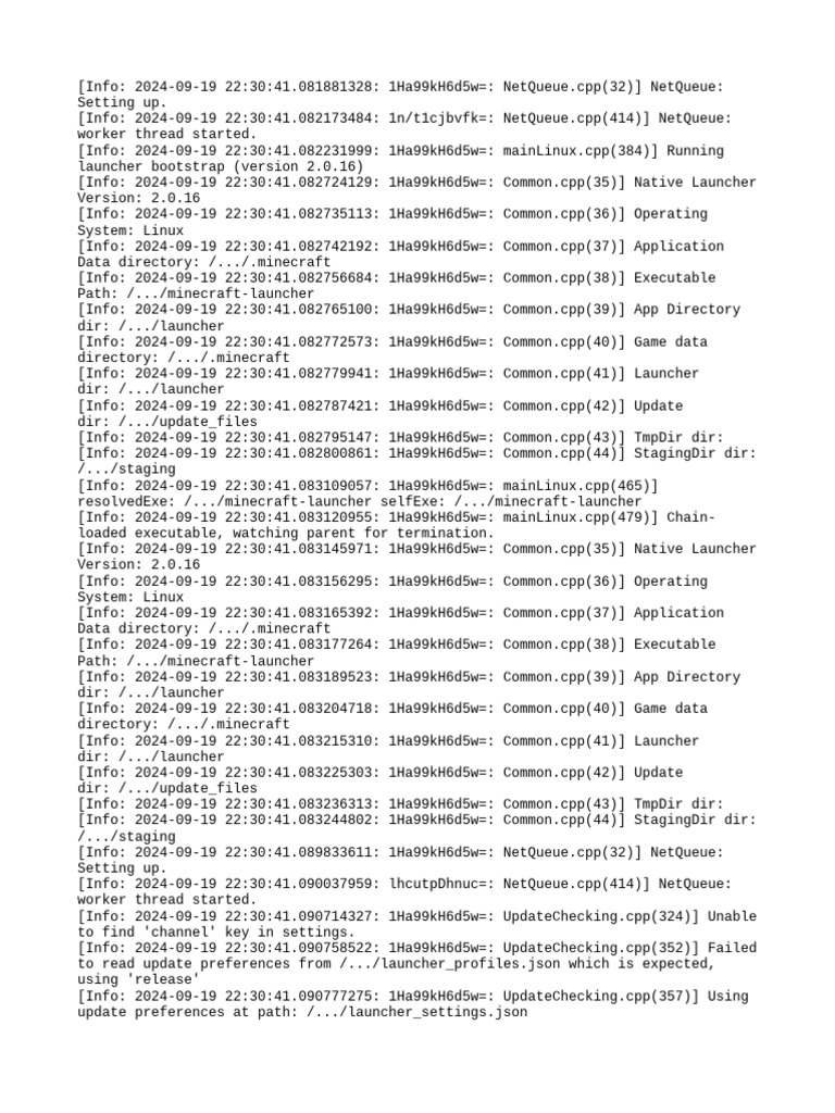 Launcher Log0 | PDF | Computer Programming | Microsoft Windows
