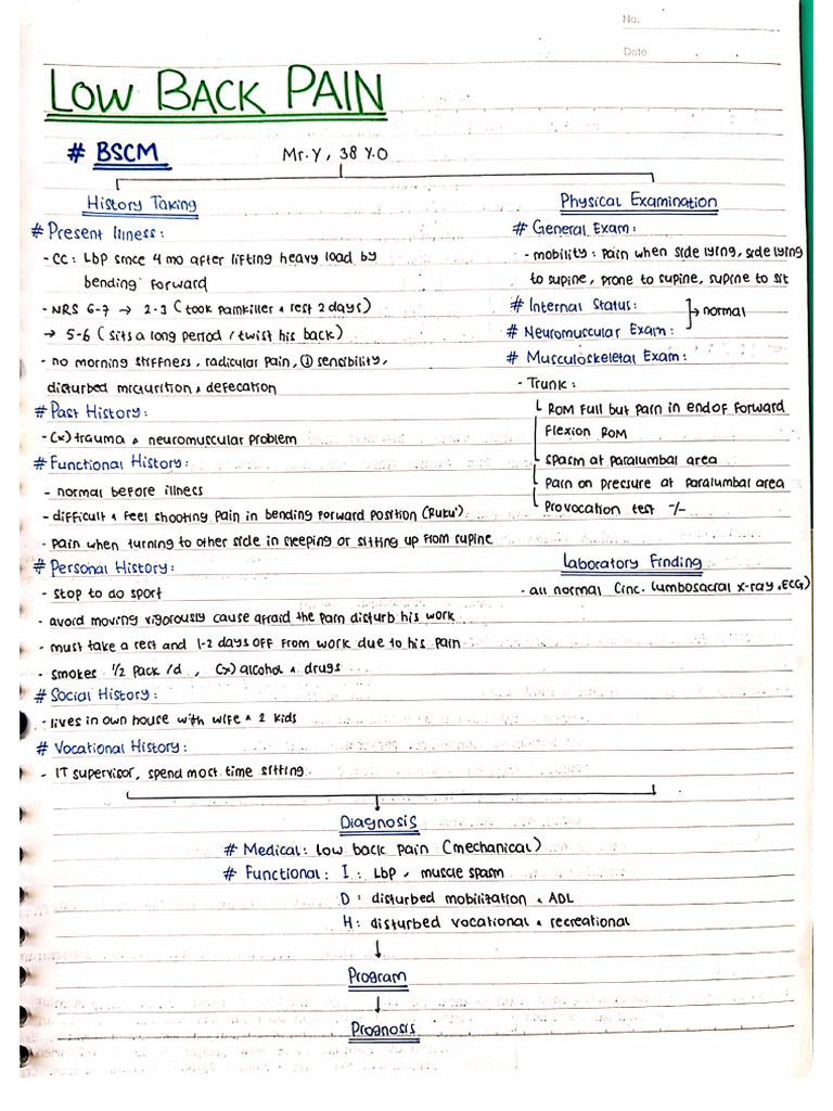 Fisioterapi Pedoman | PDF