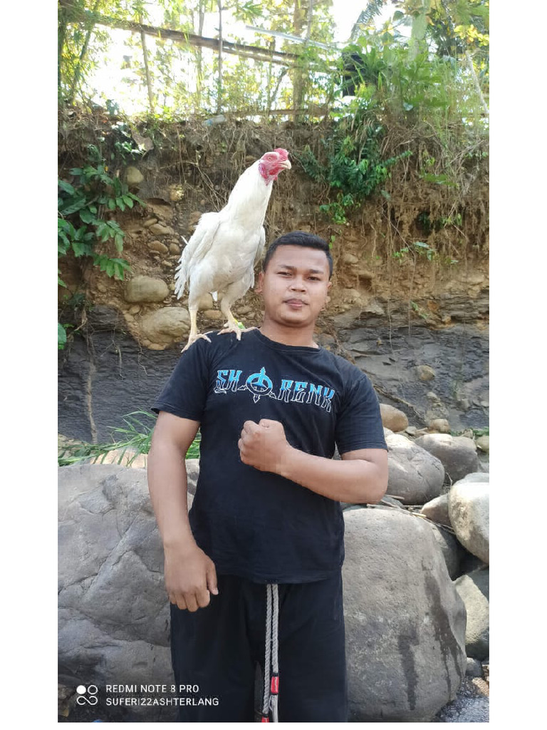 CS PDF 2024-09-28 09.27.29 | PDF