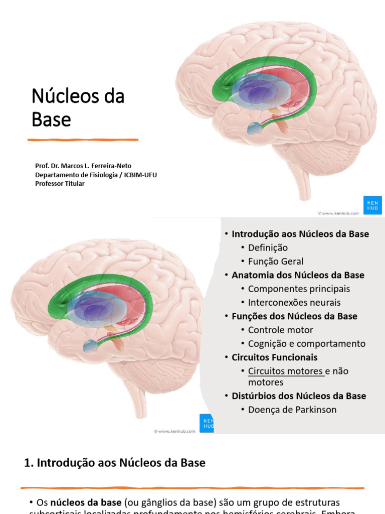6.1 Núcleos Da Base | PDF