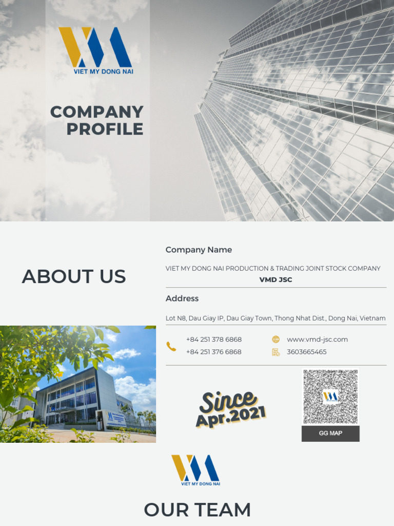 Viet My Dong Nai Company Overview | PDF