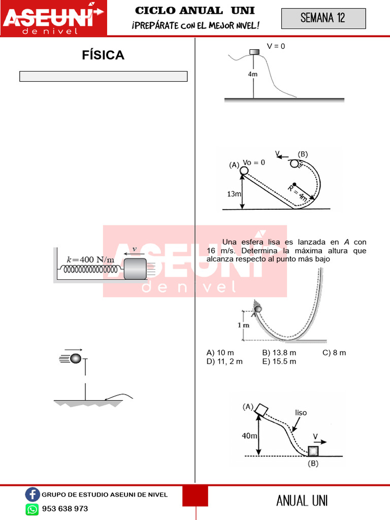 FÍSICA_12_ANUAL (1) | PDF