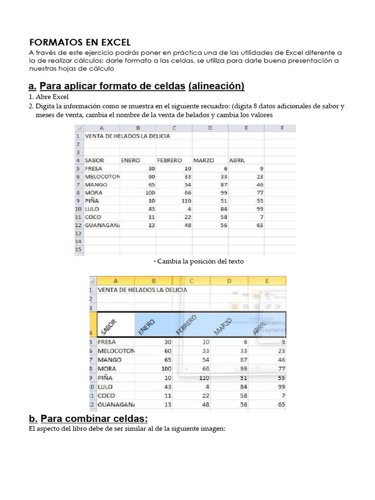 Ejercicio Formato | PDF