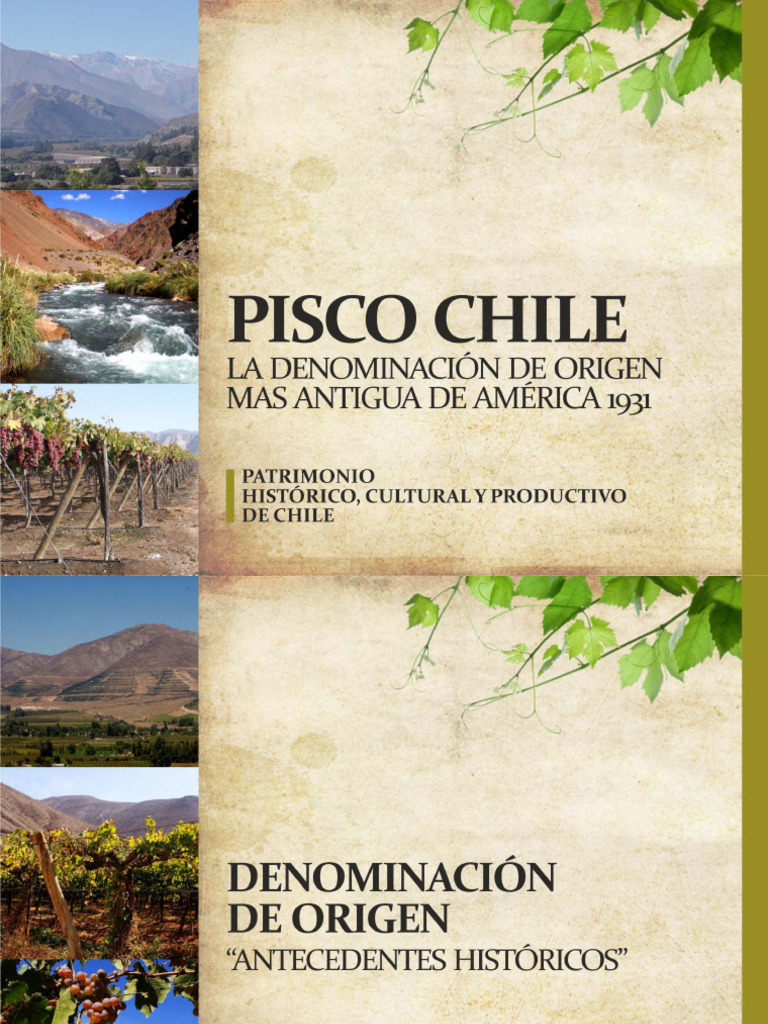 Presentacion Pisco Chile | PDF