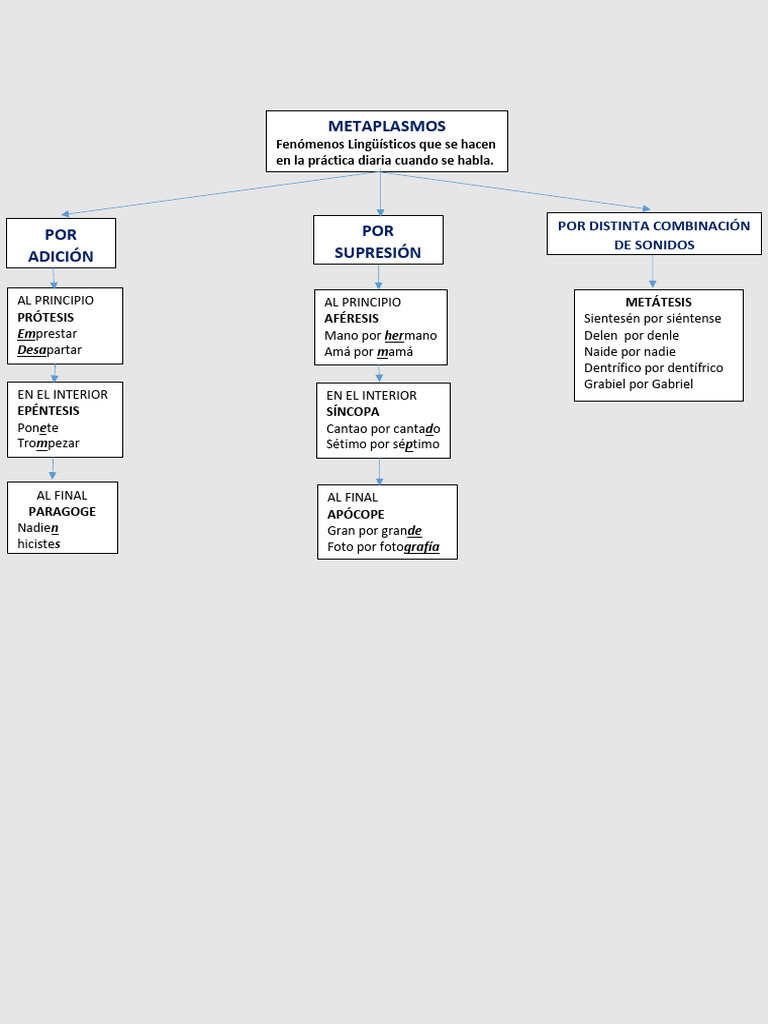 Mapa Metaplasmos | PDF
