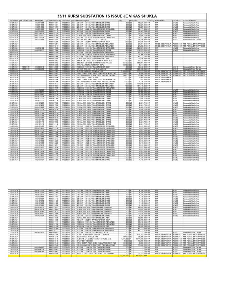 1s Issue Report | PDF