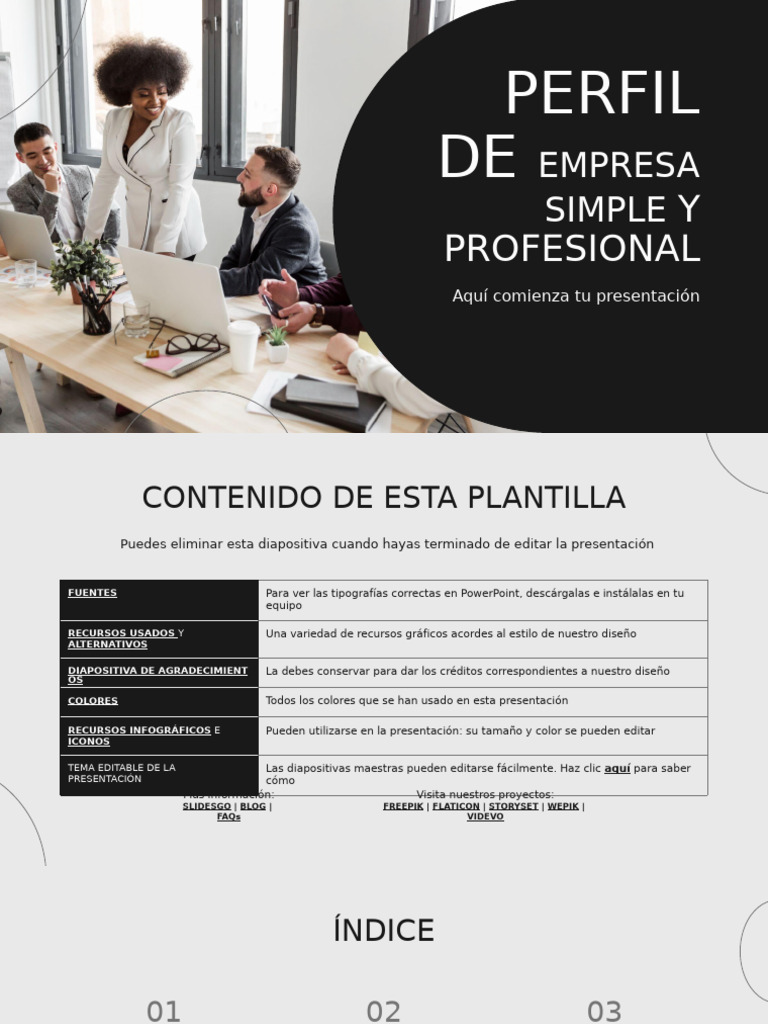 Simple and Professional Company Profile by Slidesgo | PDF