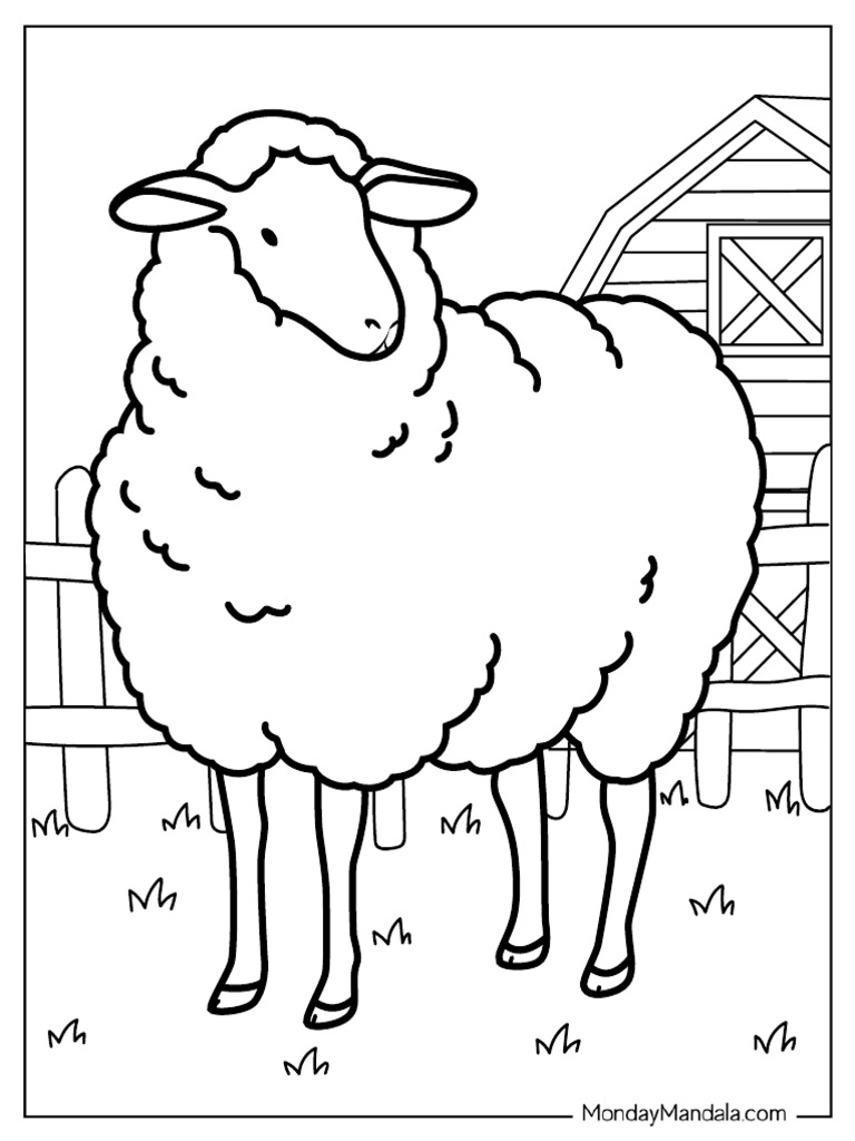 Fluffy Farm Bred Sheep | PDF
