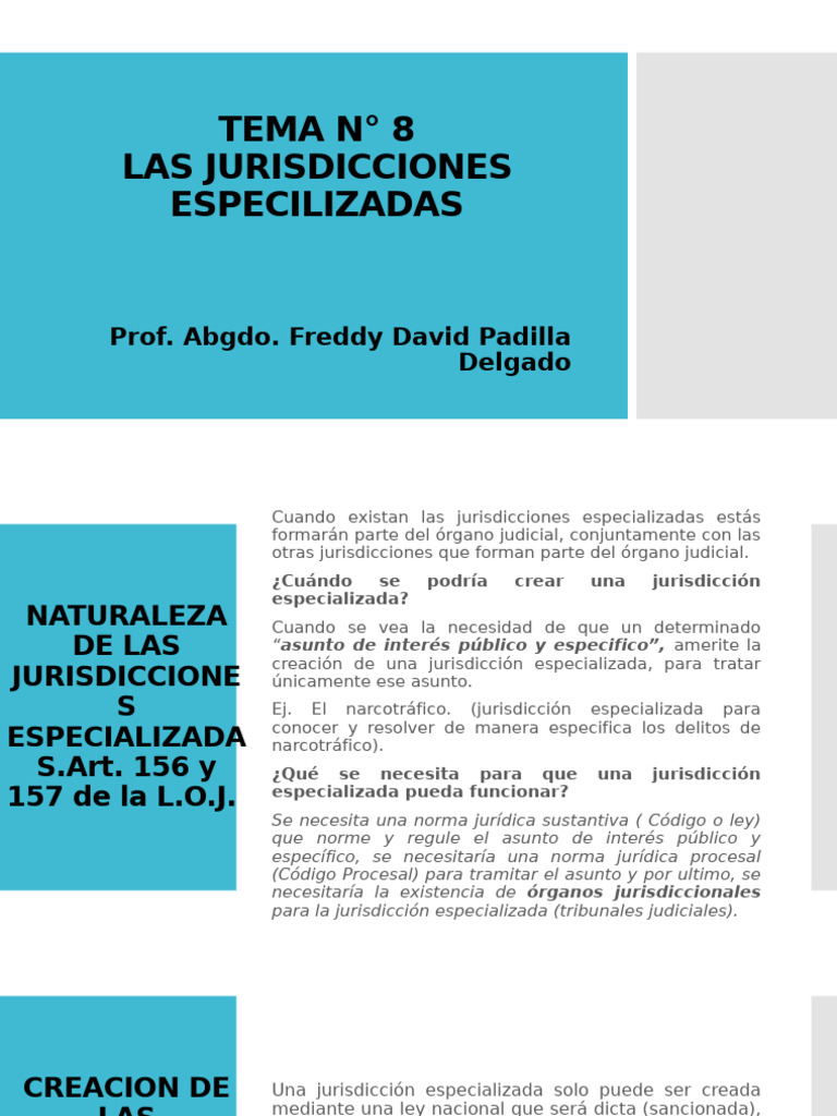 Tema #8. Las Jurisdicciones Especializadas | PDF