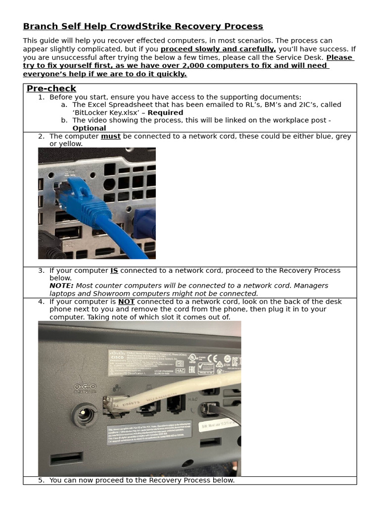 CrowdStrike Self Help Guide | PDF