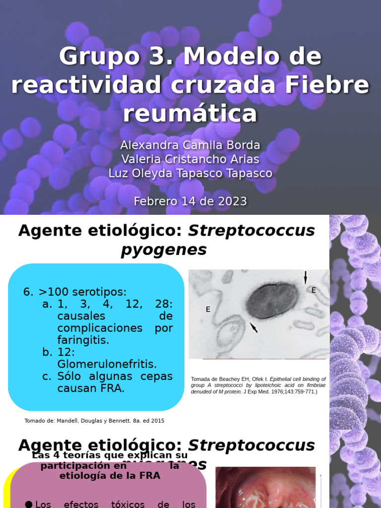 Correlación - 230213 - Grupo 3 - Modelo de Reactividad Cruzada | PDF