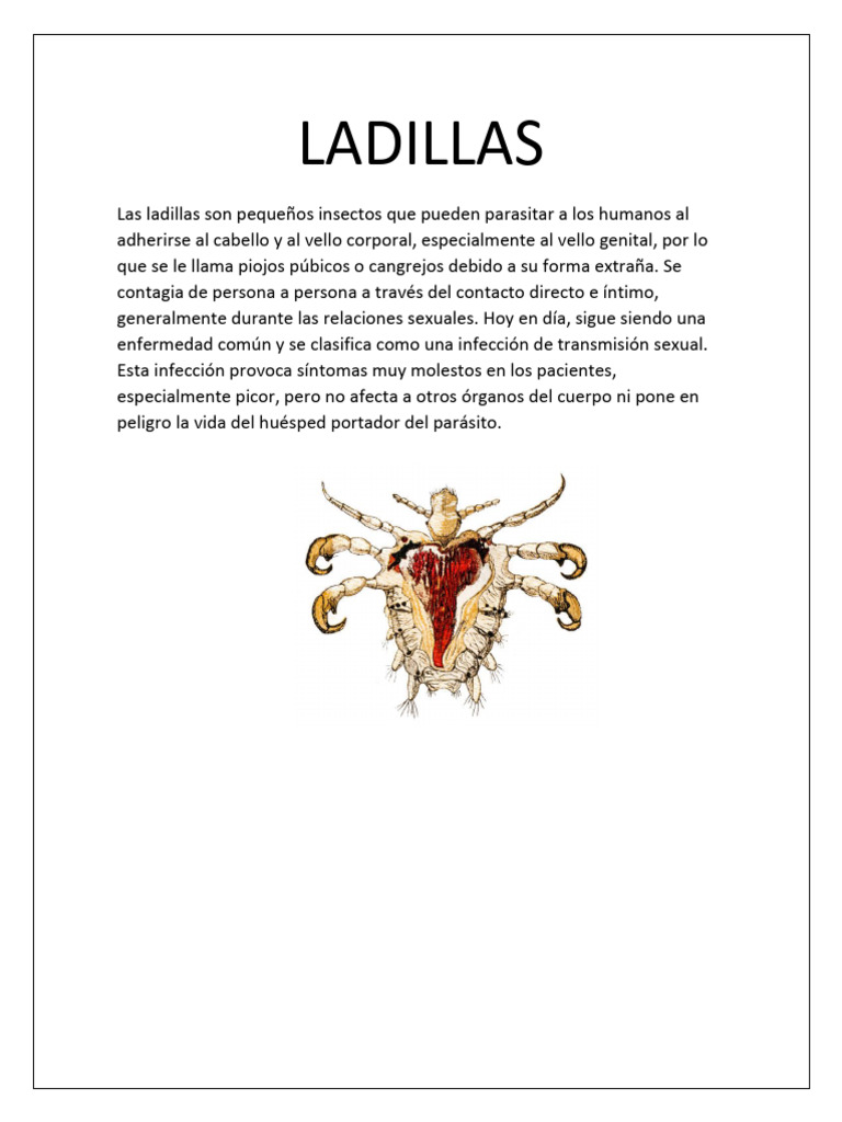 LADILLAS | PDF
