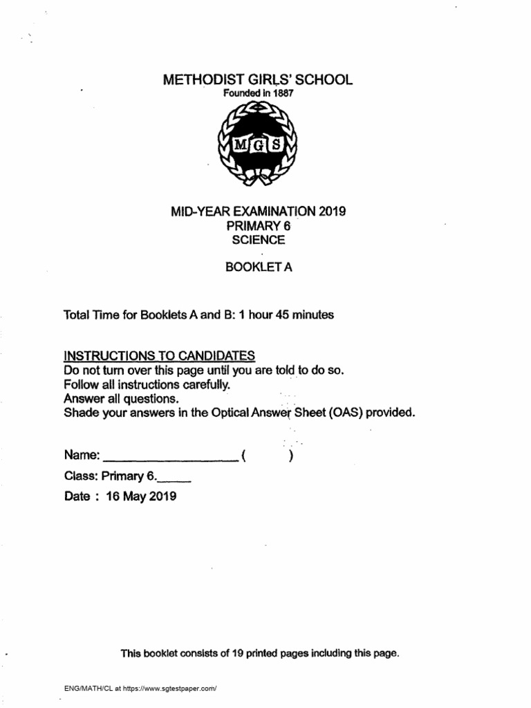 P6 Science SA1 2019 MGS Exam Papers | PDF