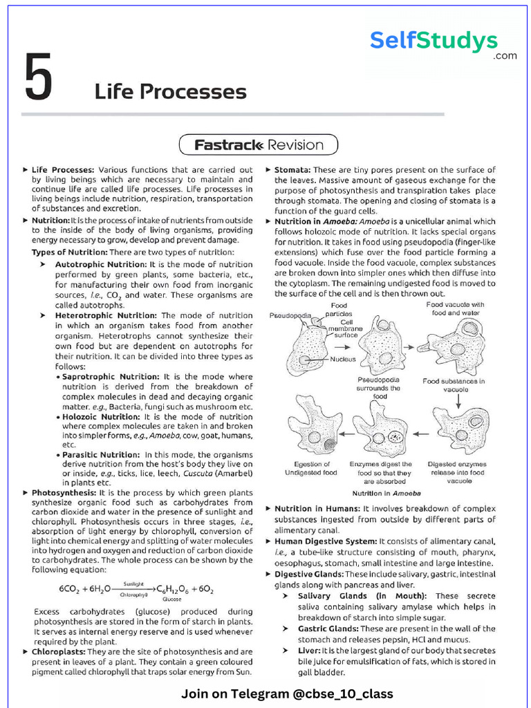 Life Process 10class | PDF