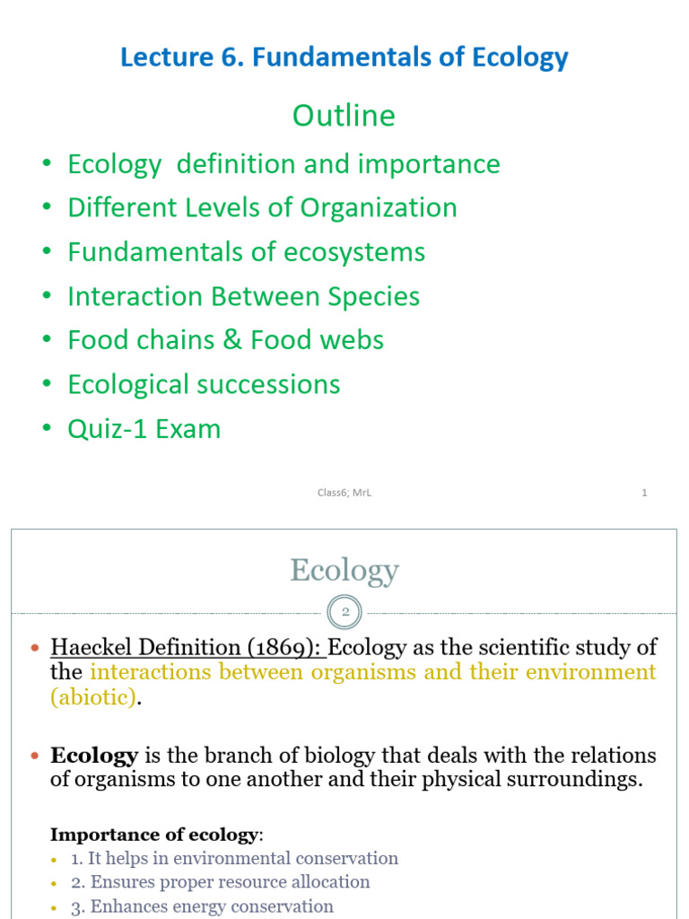 Lecture 6 | PDF