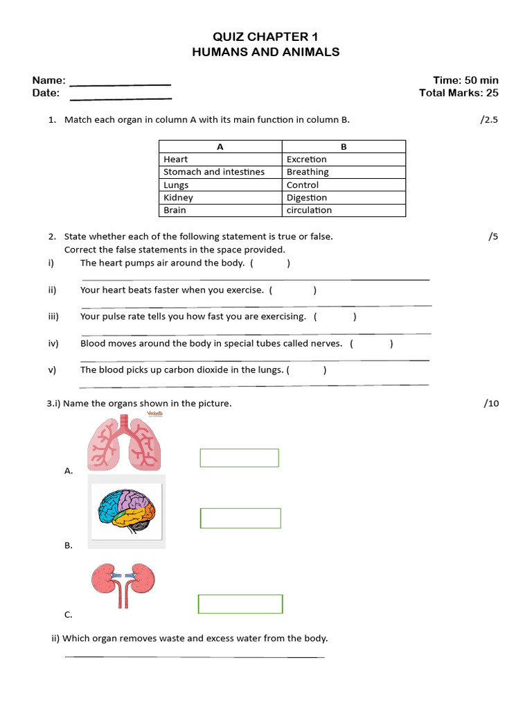Quiz Chapter 1 | PDF