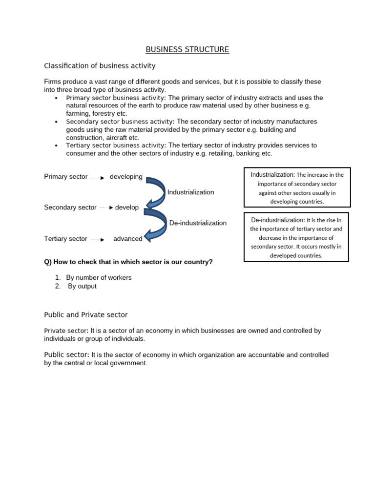 Ch-2 Business Structure | PDF