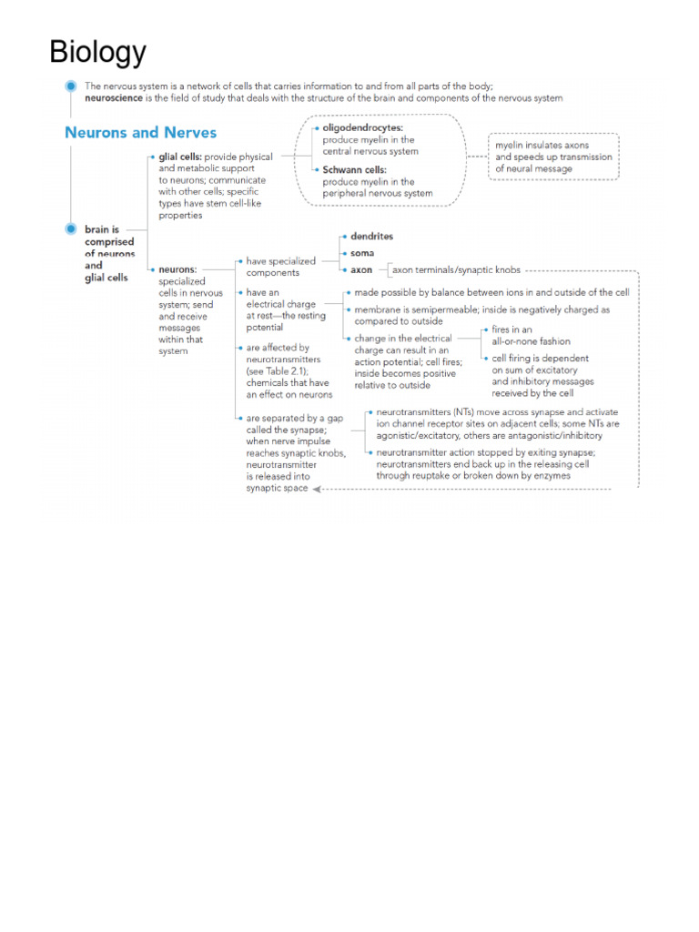 Biological Psychology - Concept - Map | PDF