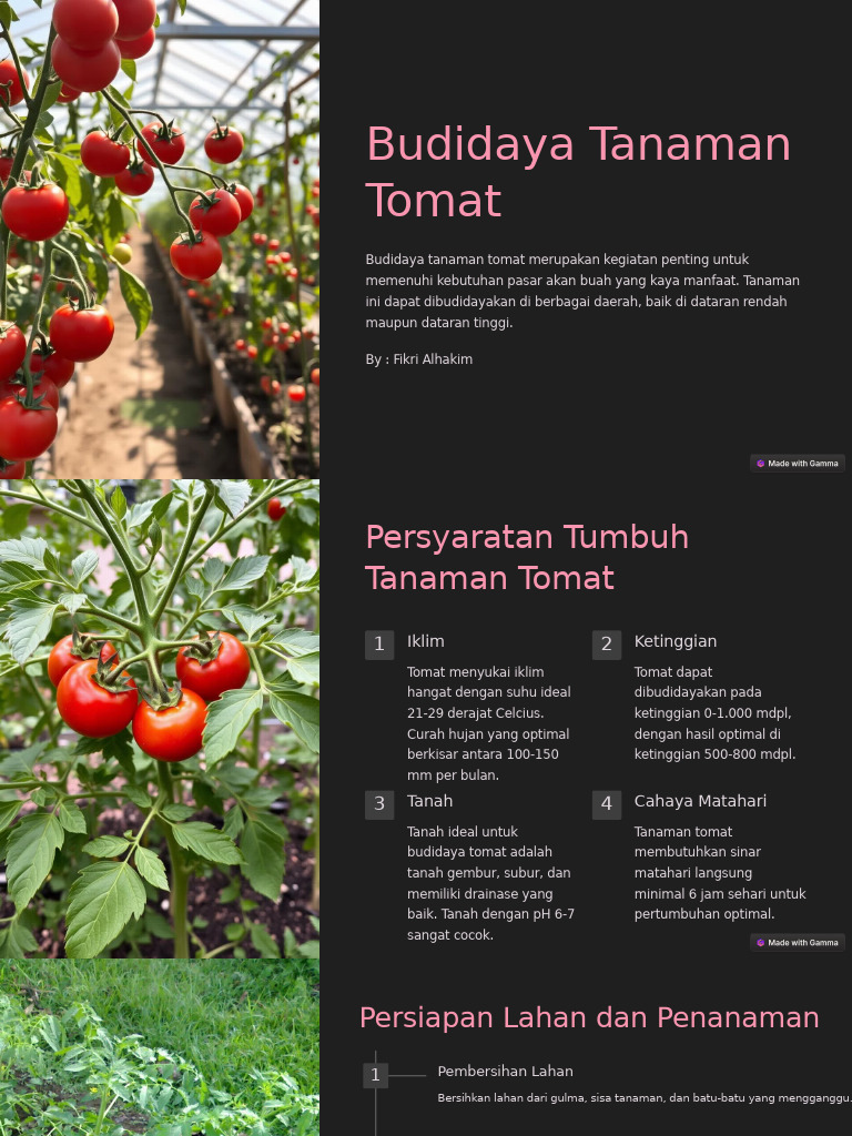 Fikri Alhakim Budi Daya Tomat | PDF