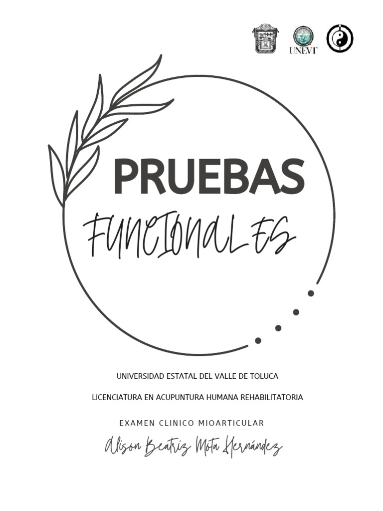Manual Pruebas Funcionales | PDF