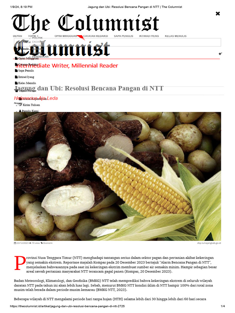 Jagung Dan Ubi - Resolusi Bencana Pangan Di NTT - The Columnist | PDF