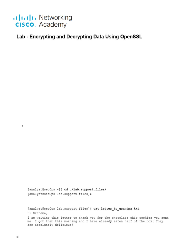 Tabarina - 5 Lab - Encrypting and Decrypting Data Using OpenSSL | PDF