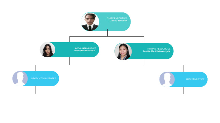 Organizational Chart Visual Charts Presentation in Blue White Teal ...