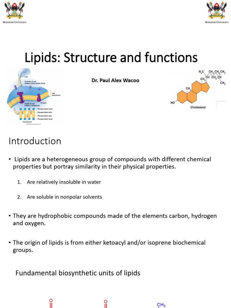 Lipids Structure and Functions | PDF