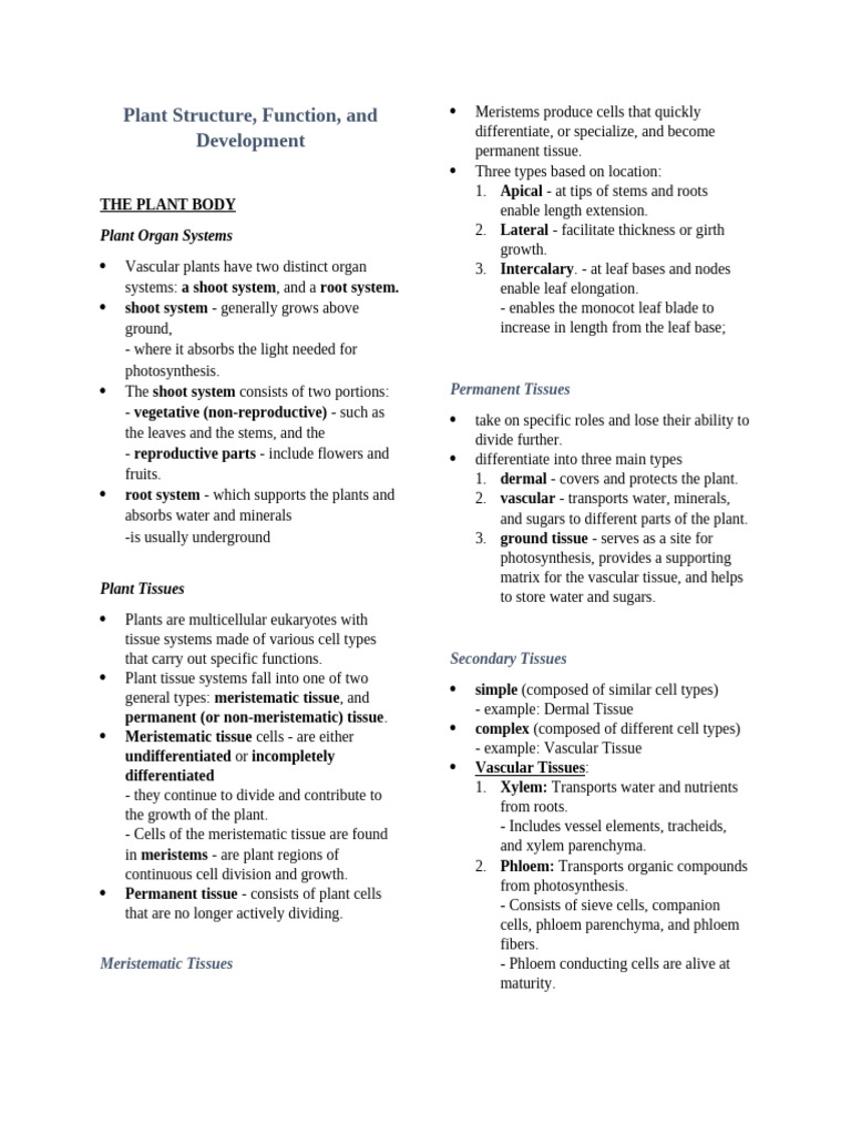 Plant Structure Notes | PDF