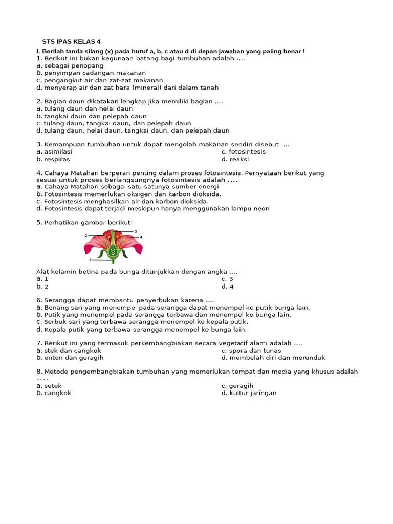 Sts Ipas Kelas 4 | PDF