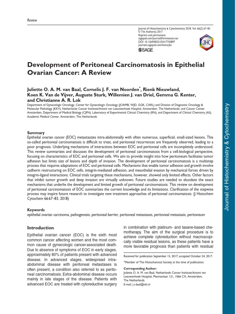 Development of Peritoneal Carcinomatosis in Epithelial | PDF