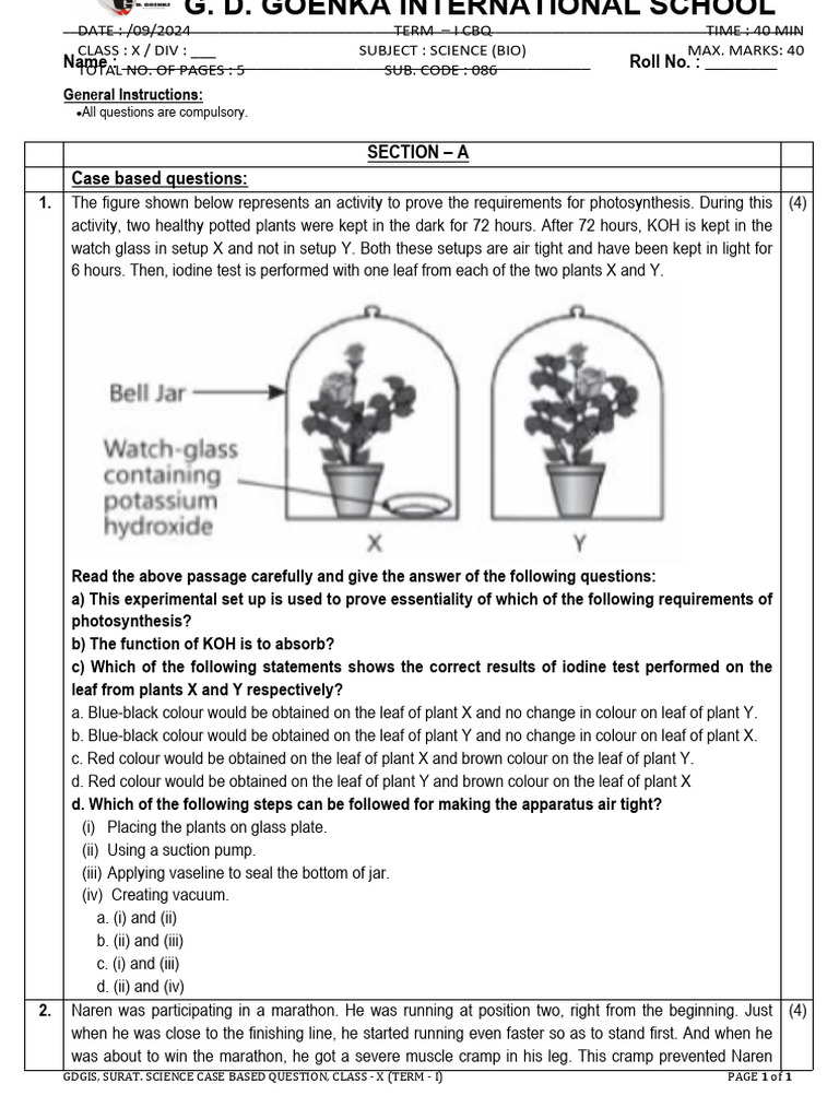 CBQ Class 10 | PDF