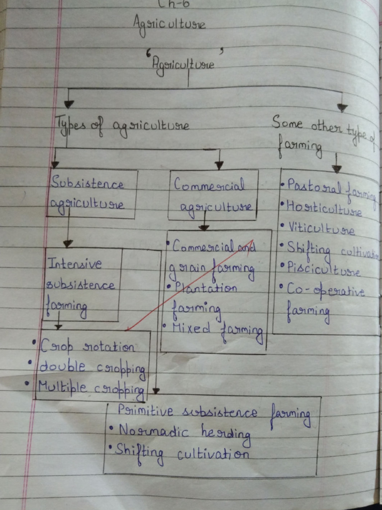 Class 8 SST Chapter 16 (Agriculture) | PDF