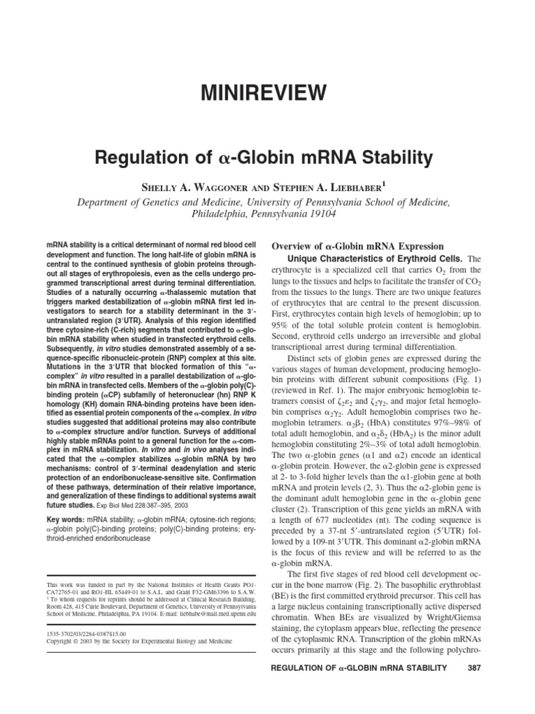 RNA Review 9 | PDF