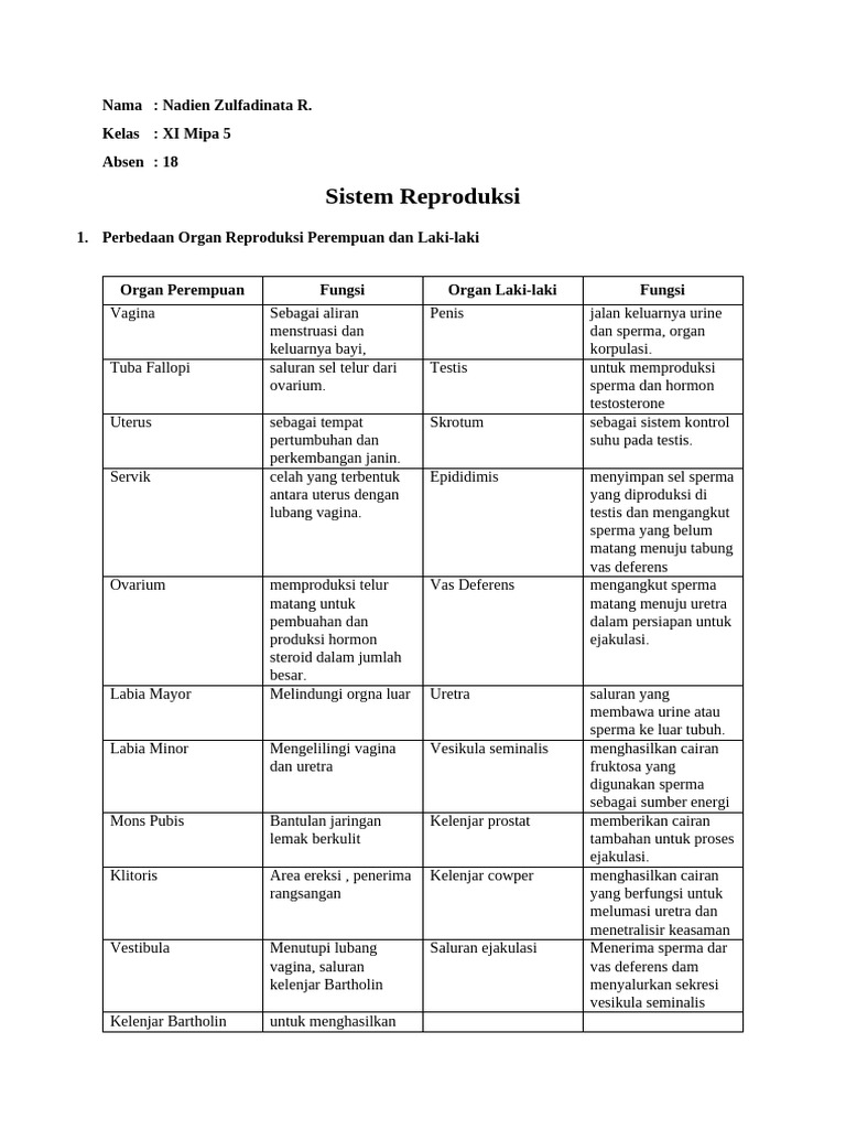 Tugas Sistem Reproduksi | PDF