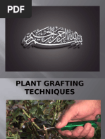 Asexual Propagation by Inarching | PDF | Grafting | Trees