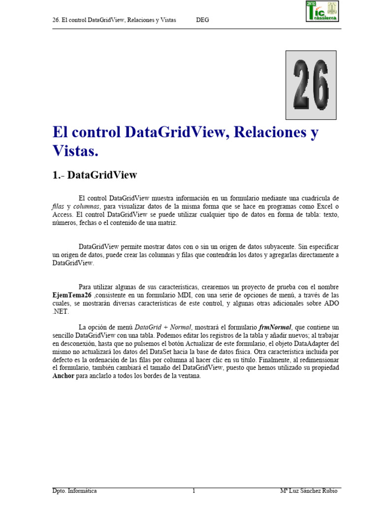 26-El Control DataGridView, Relaciones y | PDF